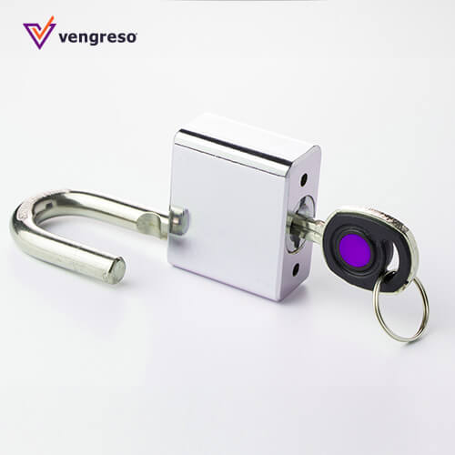 Automate Data Entry Tasks for Maximum Efficiency - Vengreso